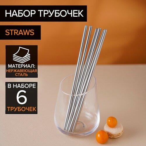 Доляна Набор металлических трубочек Straws, 6 шт, 21 см, сталь 304