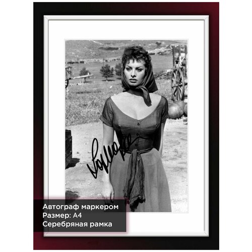 Постер в раме с автографом Софи Лорен, А4, серебряная рама