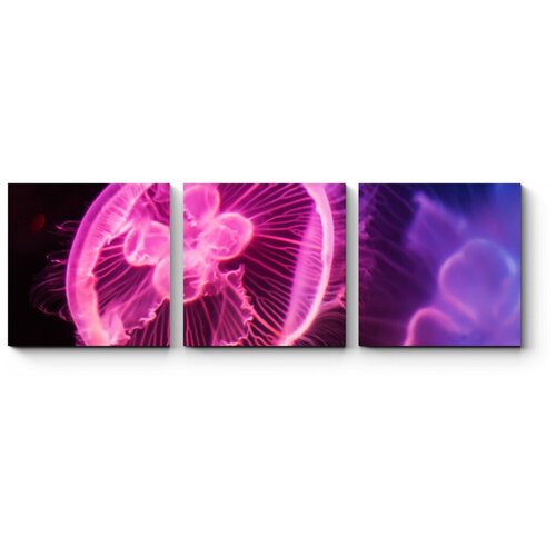 Модульная картина Неоновая медуза 70x23