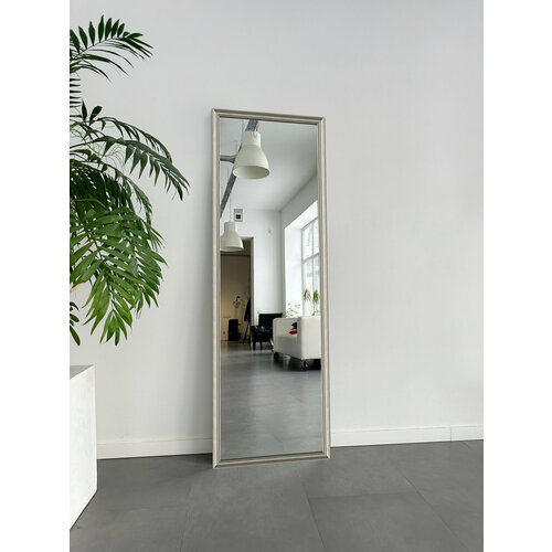 Зеркало интерьерное Sartoria 50x160, серебряный, пластиковая рама