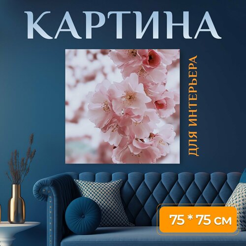 Картина на холсте "Цветы, сакура, дерево" на подрамнике 75х75 см. для интерьера