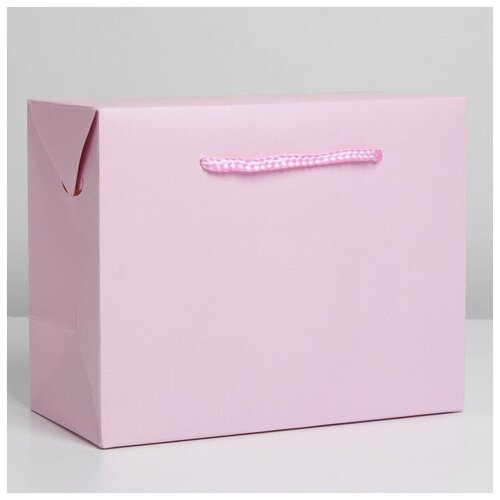 Пакет — коробка ТероПром 7303856 «Розовый», 28 × 20 × 13 см