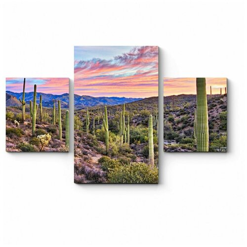 Модульная картина Закат в пустыне Соноран 150x98