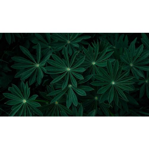 Картина на холсте 110x60 LinxOne "Растение листья ветки" интерьерная для дома / на стену / на кухню / с подрамником