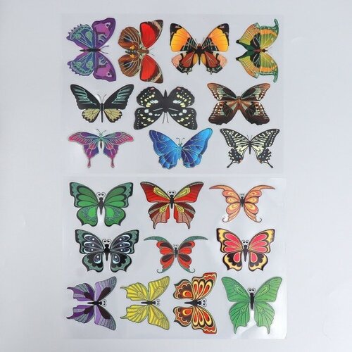 Наклейка интерьерная цветная "Музей бабочек" 25х35 см микс