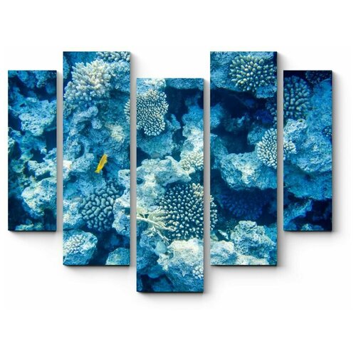 Модульная картина Коралловые рифы 111x90