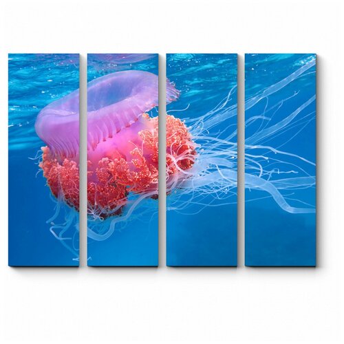 Модульная картина Розовая медуза под водой 60x45