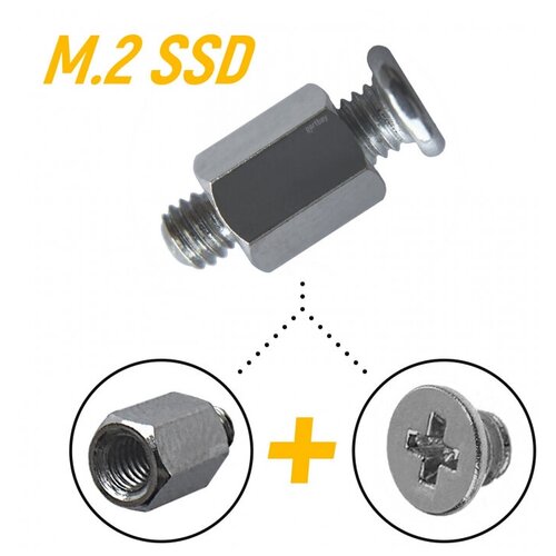 Стойка и винт крепления M.2 SSD для MSI B450-A PRO MAX (1 Комплект)
