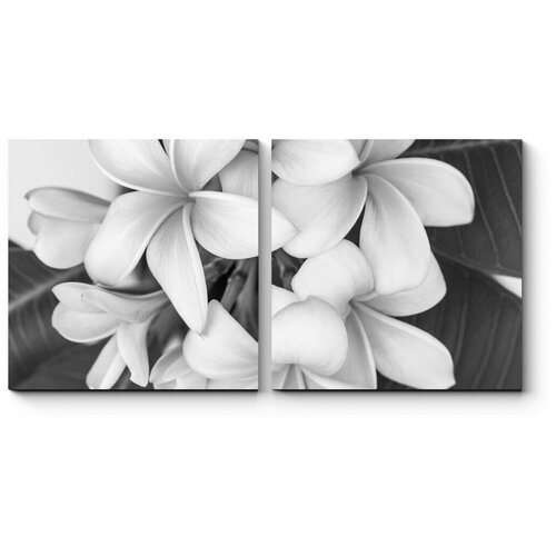 Модульная картина Аромат белых цветов 60x30