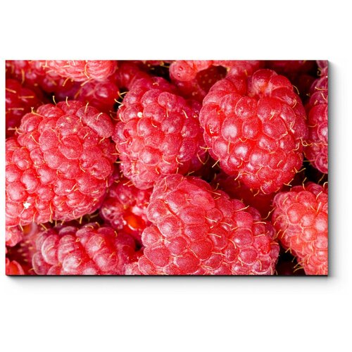 Модульная картина Крупные ягоды малины 50x33