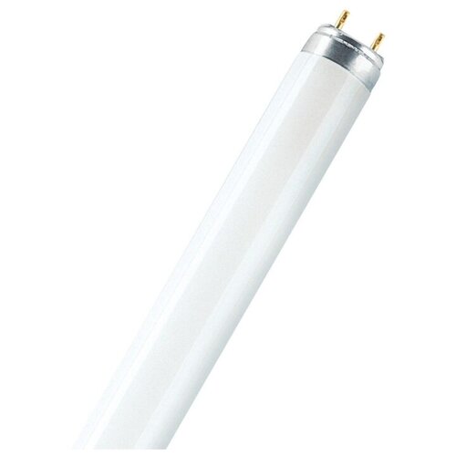 Лампа люминесцентная OSRAM LUMILUX L 18W/865 (25шт/уп)