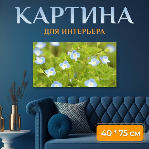 Картина на холсте "Синий цветок, зелень, цветы" на подрамнике 75х40 см. для интерьера