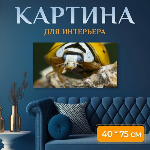 Картина на холсте "Божья коровка, желтый, насекомое" на подрамнике 75х40 см. для интерьера