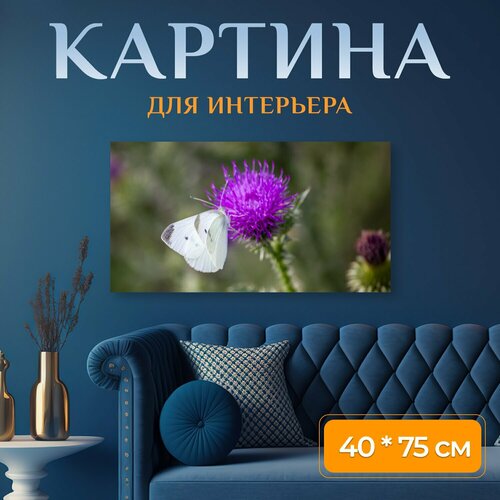 Картина на холсте "Фиолетовый цветок, белая бабочка, бабочка" на подрамнике 75х40 см. для интерьера
