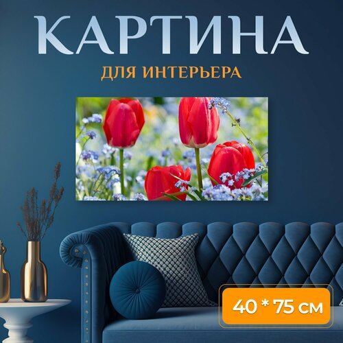 Картина на холсте "Тюльпан, тюльпаны, цветок" на подрамнике 75х40 см. для интерьера