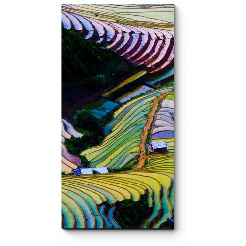 Модульная картина Рисовые поля, Вьетнам 30x60