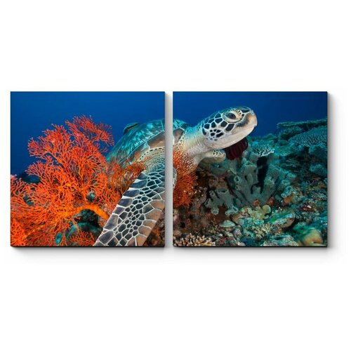 Модульная картина Морская черепаха в кораллах70x35