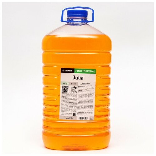 Жидкое мыло Julia с ароматом персика, 5 л