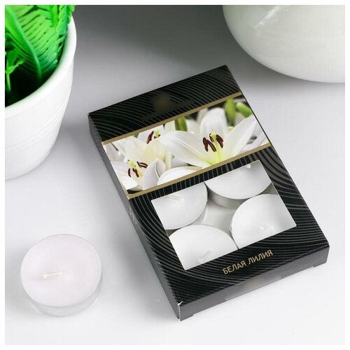SUI Набор чайных свечей ароматизированных "Белая лилия" в подарочной коробке, 6 шт