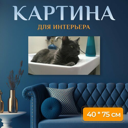Картина на холсте "Кошка, русская голубая, профиль кошки" на подрамнике 75х40 см. для интерьера