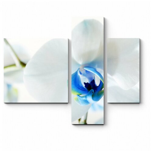Модульная картина Белая орхидея 120x99
