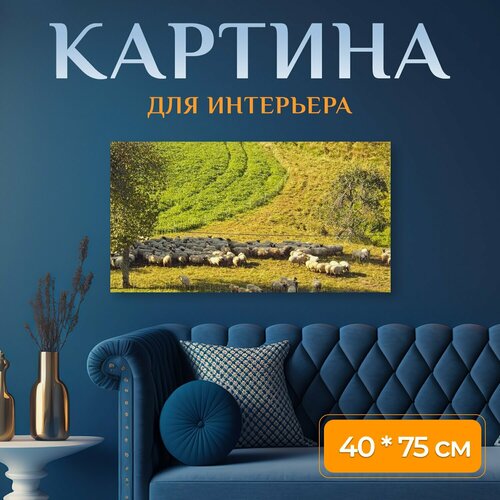 Картина на холсте "Альпийское пастбище, овец, стадо" на подрамнике 75х40 см. для интерьера