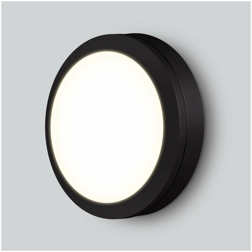 Настенно-потолочный светильник Elektrostandard Circle LTB51 LED Светильник 15W 4200К, цвет черный, IP65