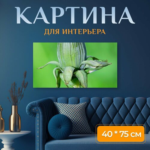 Картина на холсте "Корень, цветок, завод" на подрамнике 75х40 см. для интерьера