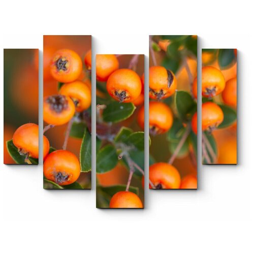 Модульная картина Спелые ягоды рябины 101x82