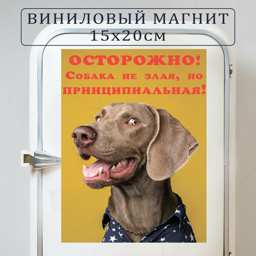 Магнит на холодильник Осторожно собака не злая но принципиальная (20 см х 15 см) вариант 11 Сувенирный магнит Подарок Декор интерьера