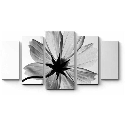 Модульная картина Монохромный цветок 110x61
