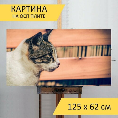 Картина на ОСП 125х62 см. "Кошка, малай, тигр" горизонтальная, для интерьера, с креплениями