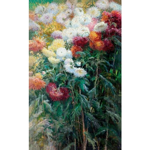 Плакат, постер на холсте Chrysanthemums in the garden/Хризантемы в саду-Петит Лайерс. Размер 42 на 60 см
