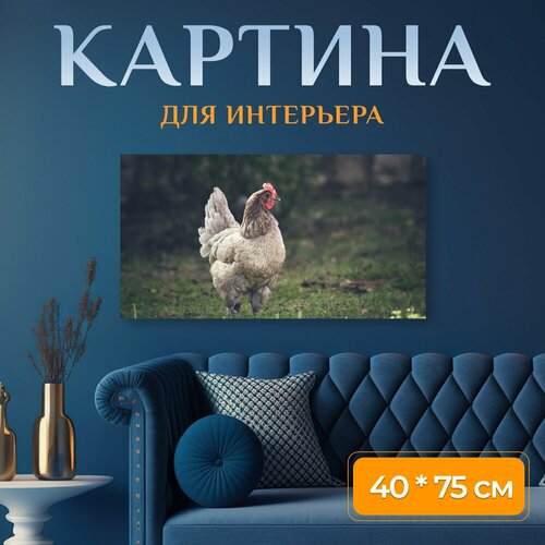 Картина на холсте "Курица, перья, клюв" на подрамнике 75х40 см. для интерьера