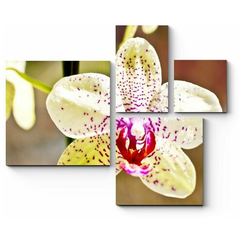 Модульная картина Тигровая орхидея 142x118