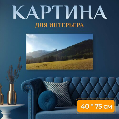 Картина на холсте "Луг, альпы, природа" на подрамнике 75х40 см. для интерьера