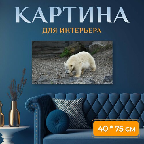 Картина на холсте "Полярный медведь, зоопарк, горные породы" на подрамнике 75х40 см. для интерьера
