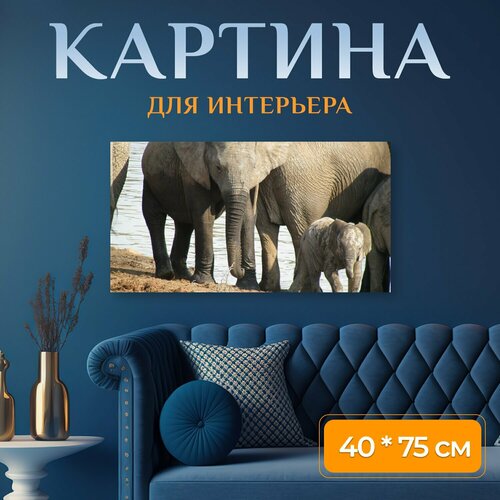 Картина на холсте "Сафари, африка, животное" на подрамнике 75х40 см. для интерьера