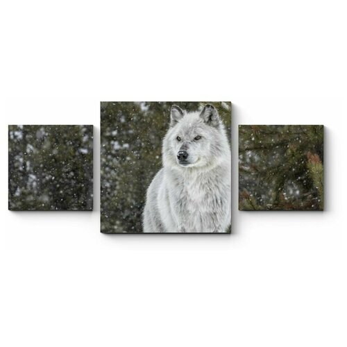 Модульная картина Серый волк 100x43