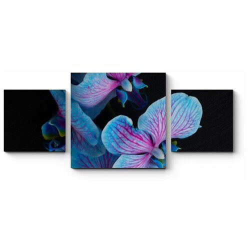Модульная картина Голубая орхидея200x86