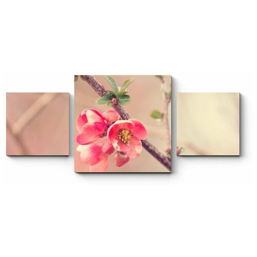Модульная картина Розовые соцветия 190x81