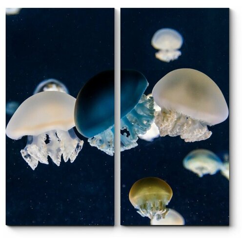 Модульная картина Красивые медузы50x50