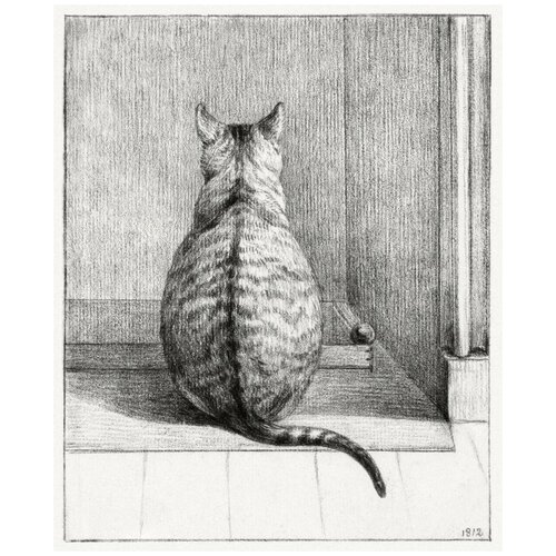 Постер / Плакат / Картина Кошки - Сидящая кошка сзади 40х50 см в подарочном тубусе