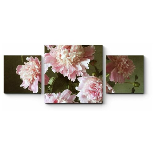 Модульная картина Розовые пионы 80x34