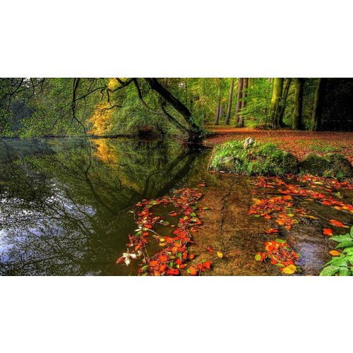 Картина на холсте 60x110 Альянс Лес "Осенние листья на реке" на подрамнике / интерьер/ декор