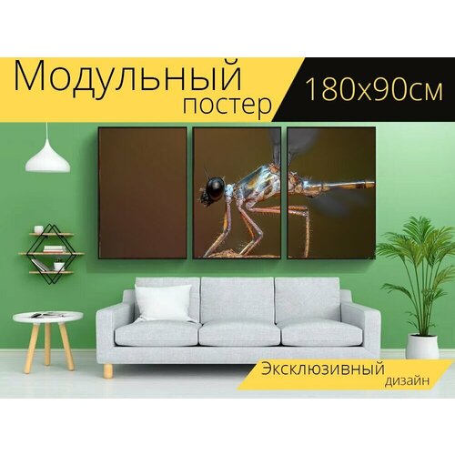 Модульный постер "Проклятый, насекомое, стрекозы" 180 x 90 см. для интерьера