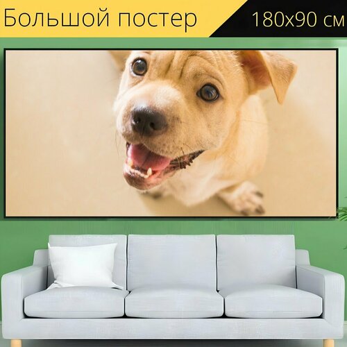 Большой постер "Щенки, собака, улыбающийся" 180 x 90 см. для интерьера