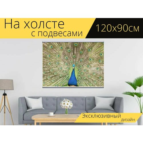 Картина на холсте "Павлин, перья, синий" с подвесами 120х90 см. для интерьера