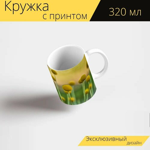 Кружка с рисунком, принтом "Краспедия семена, кнопки билли, желтые кнопки" 320 мл.