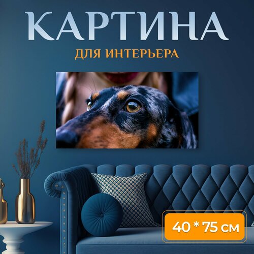 Картина на холсте "Лучший друг, такса, собака" на подрамнике 75х40 см. для интерьера